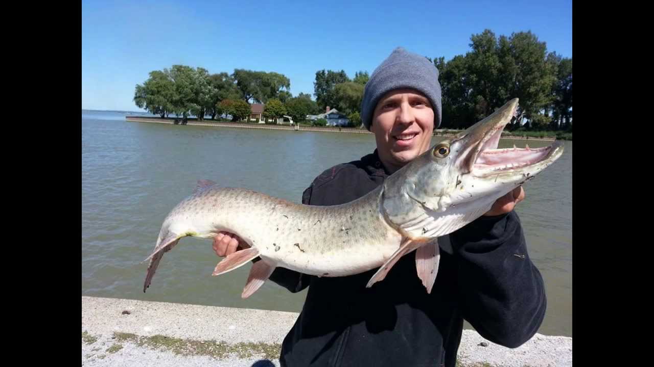 Muskie Lighthouse Cove - YouTube