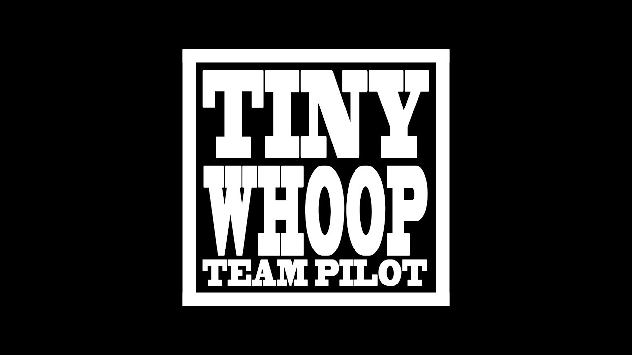 tiny whoop | fpv drone freestyle | twtp - YouTube