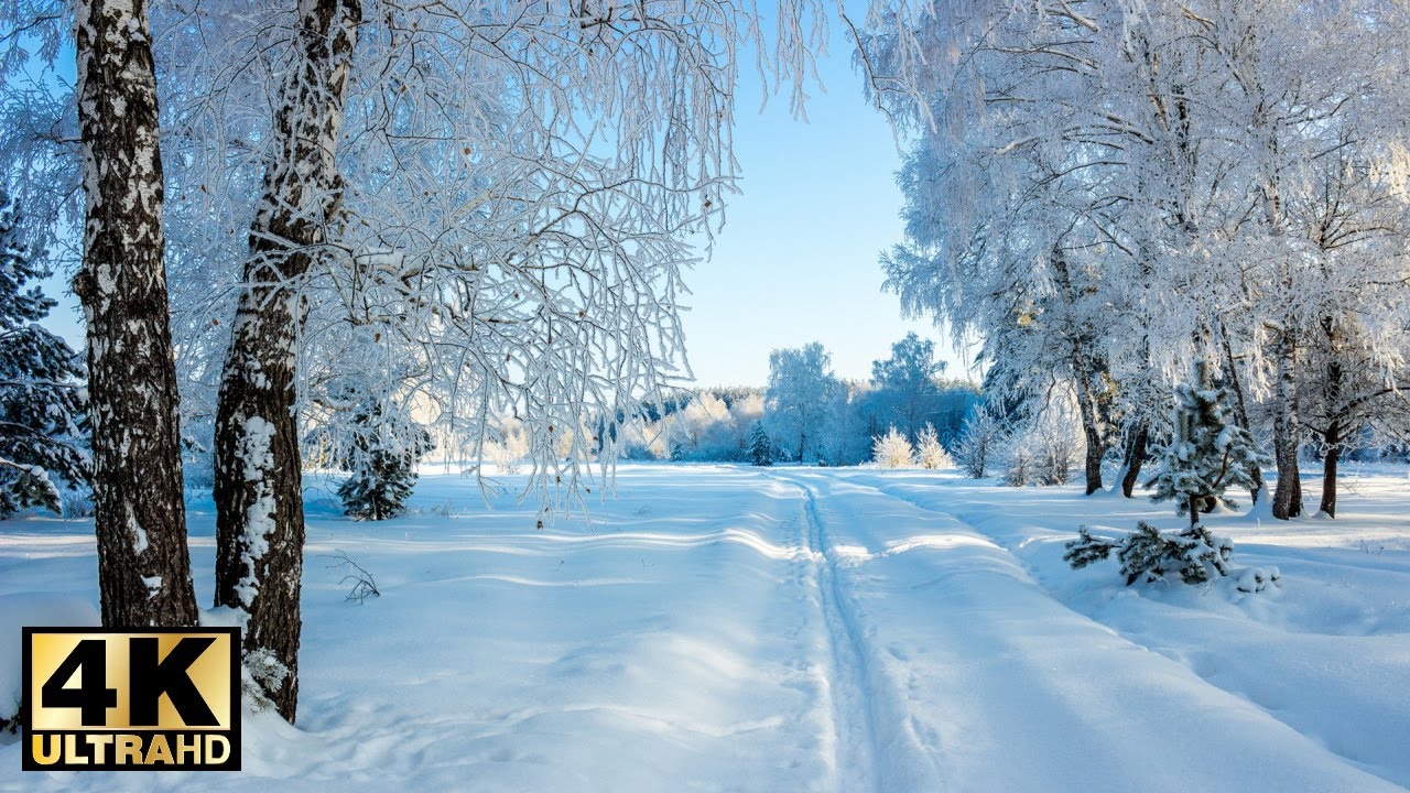 🎶4K REAL 120 FPS Русская зима - YouTube