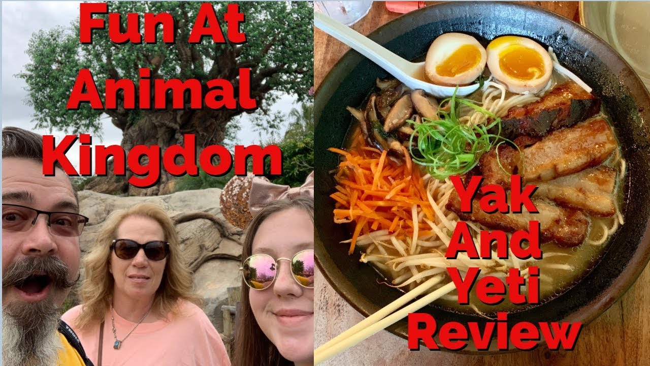 Animal Kingdom | Yak and Yeti Review | Walt Disney World | Kidani ...