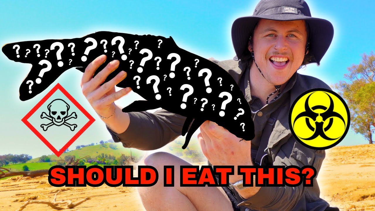 CATCHING AND EATING THE WORLDS MOST HATED FISH!! (Surprising results ...