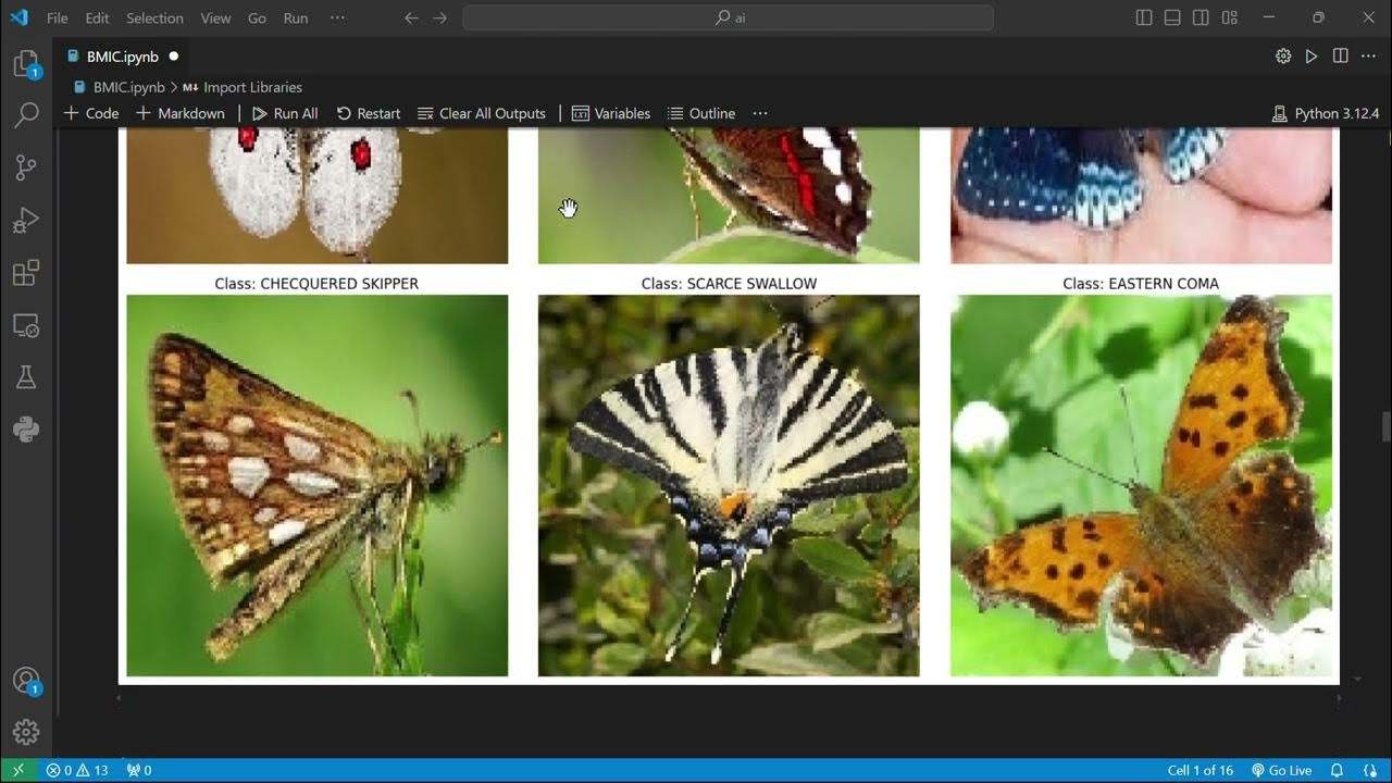Butterfly Multiclass Image Classification with TensorFlow | 70% ...