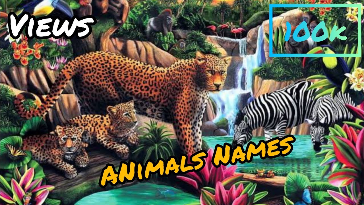 |Animals Name|learn animals Name in English|Animals Name basic English ...