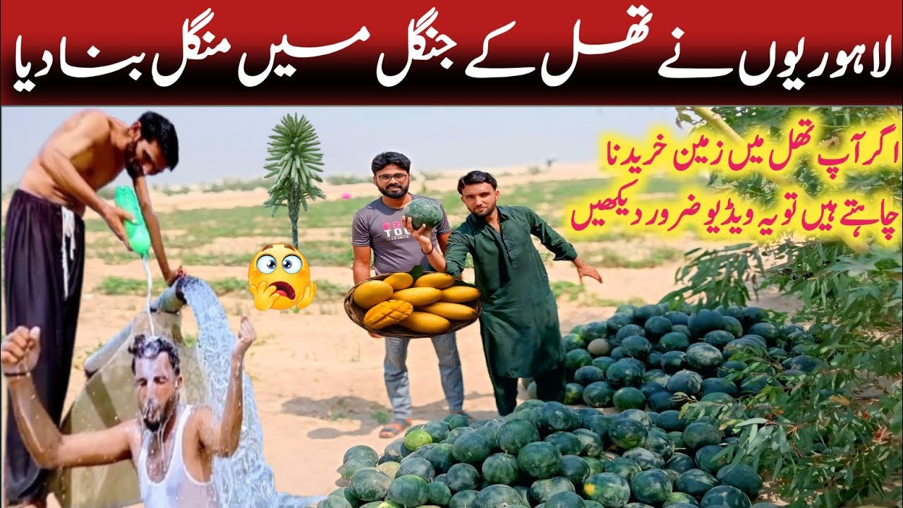 Unique Fruit 🍉 in Thal Desert || Thal Aala - YouTube