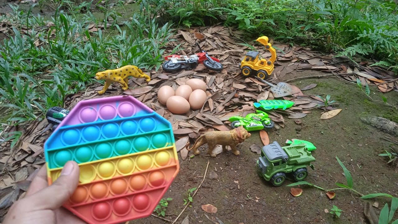 MENCARI TELUR MAINAN DI HUTAN YANG BAGUS DAN SANGAT MENARIK - YouTube