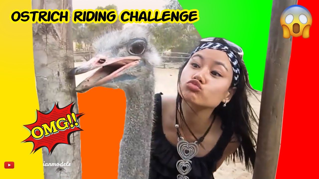 How do you ride an ostrich? | Amazonian Models [ 2023 ] - YouTube