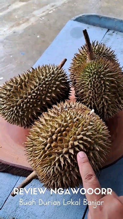 Makan buah durian lokal Banjar tiga buah cuman 50 RIBU??? Gimana rasanya yaa??? #shorts # ...
