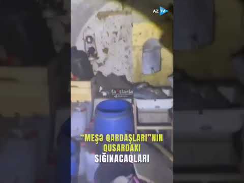 ↔️ Terrorçu qruplaşması \