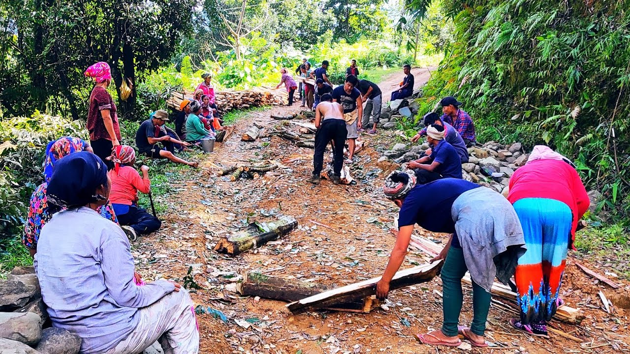 liangmai tedlong village cutting firewood for the upcoming Christmas ...