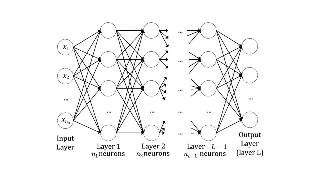 FeedForward Neural Network | python vs Backpropagation - YouTube