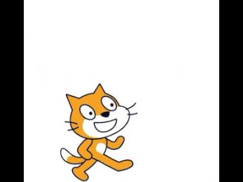 Scratch Cat! - YouTube
