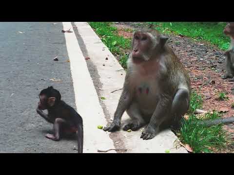 Lovely baby boy with charming mother on street time