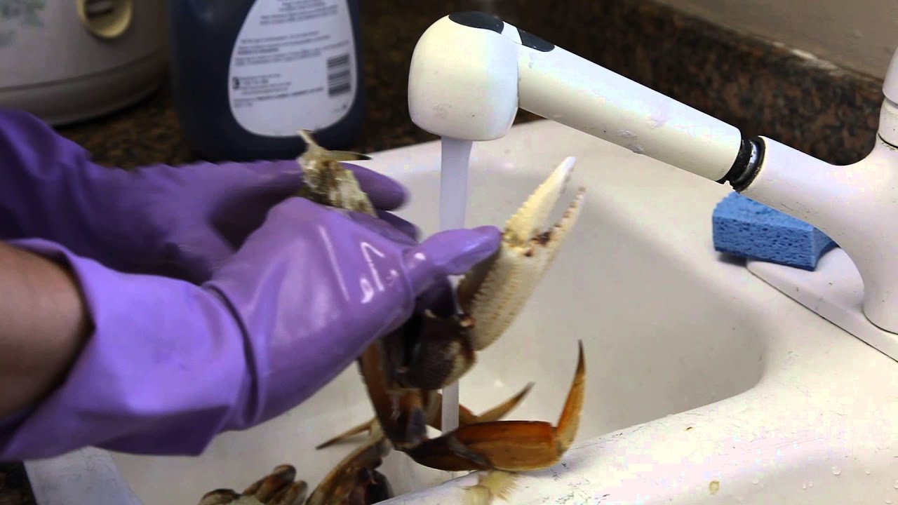 How to Clean and prepare live crab. - YouTube
