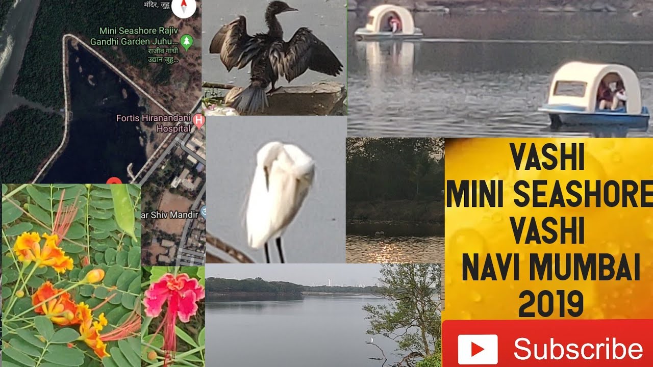 Vashi Mini Seashore | Vashi | Navi Mumbai - YouTube
