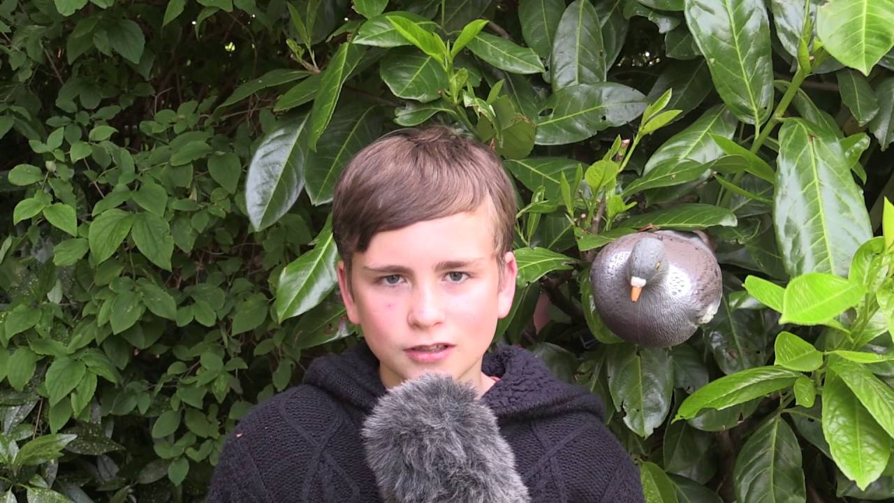 The Pigeotte - YouTube