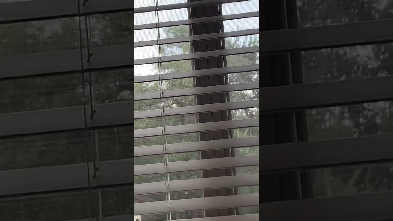 my window in my room... - YouTube