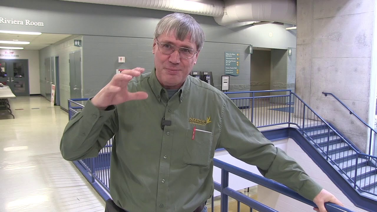 Wheat School: Phil Needham on protecting yield potential - YouTube