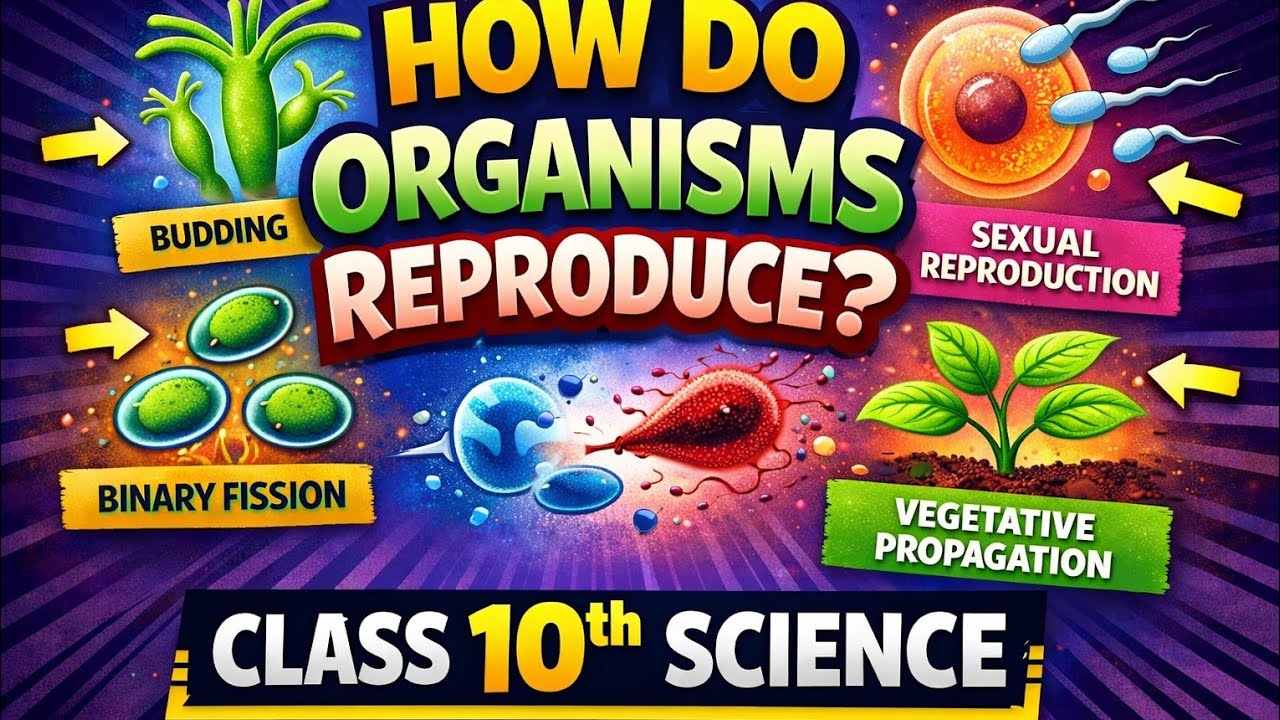 Detailed Video #"How Do Organisms Reproduce"#10th #biology #science # ...