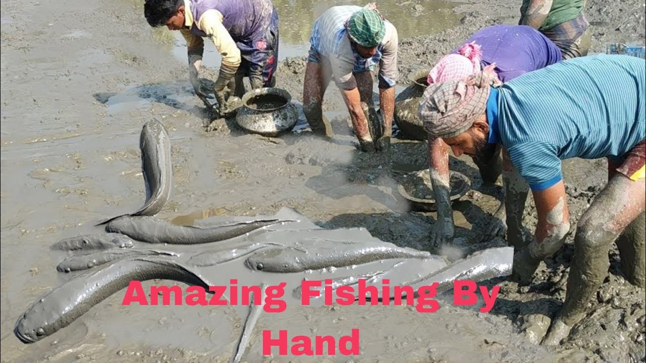 Awesome Traditional village up- Hand Fishing video| Best Hand Fishing ...