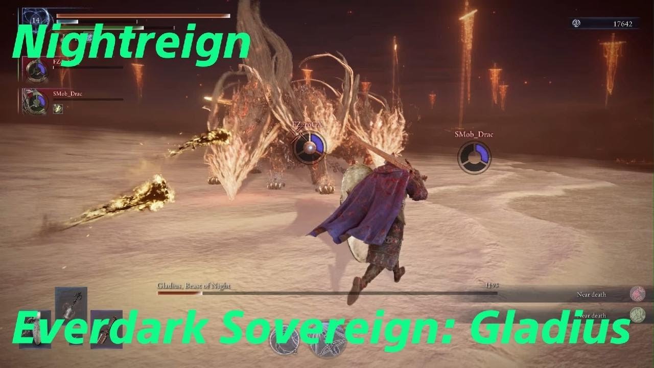 ELDEN RING NIGHTREIGN - Everdark Sovereign: Gladius vs Wylder - YouTube