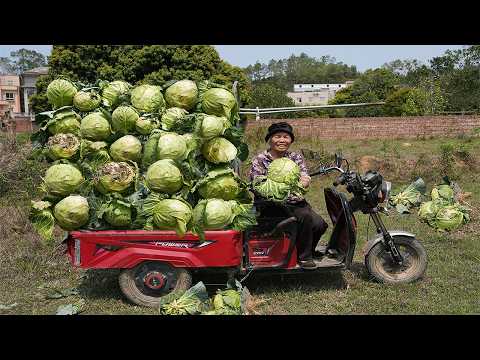 Making kimchi with more than 100 kilograms of cabbage｜Guangxi Grandma