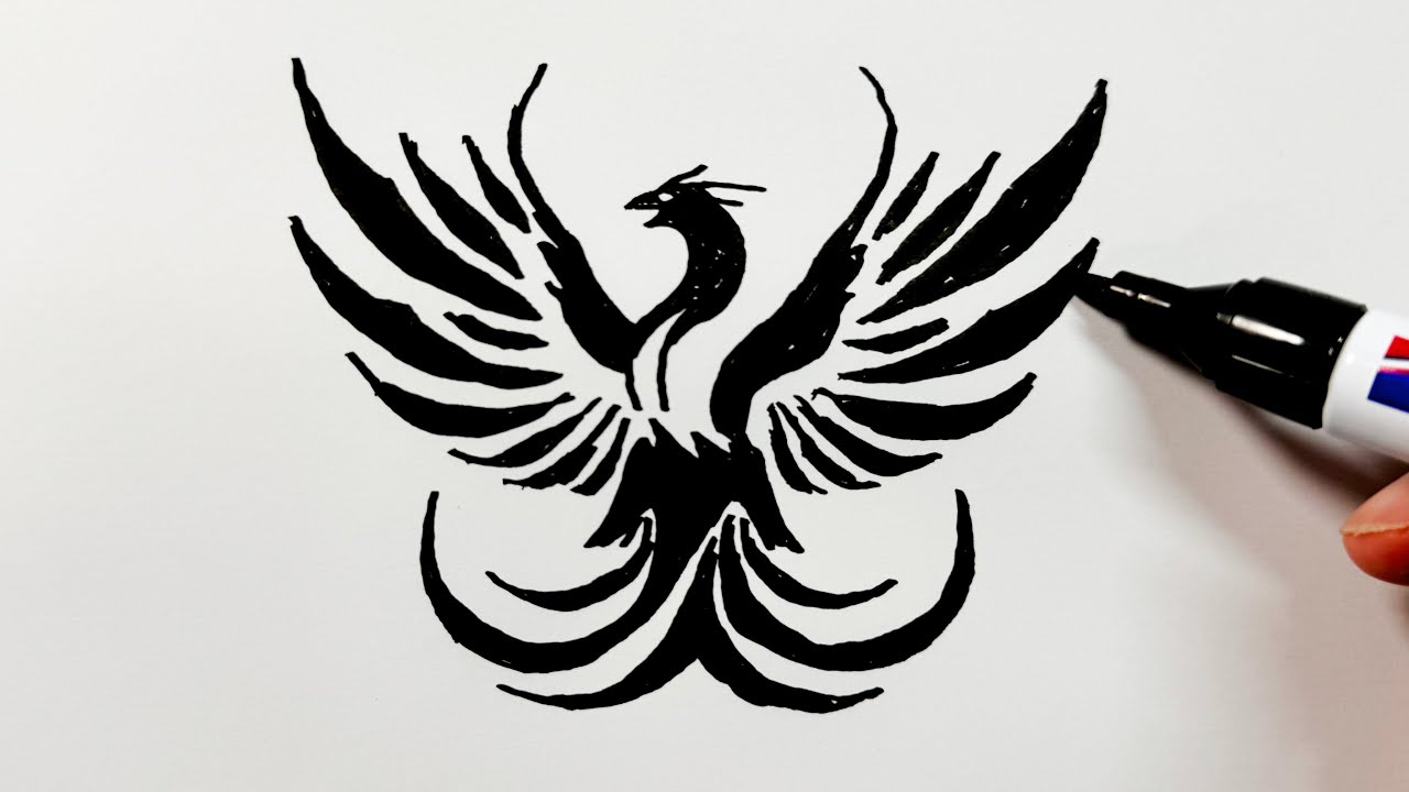 How to Draw a Phoenix - YouTube