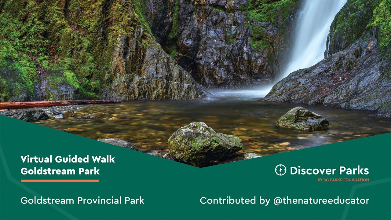 Virtual Guided Walk - Goldstream Park - American Sign Language - YouTube