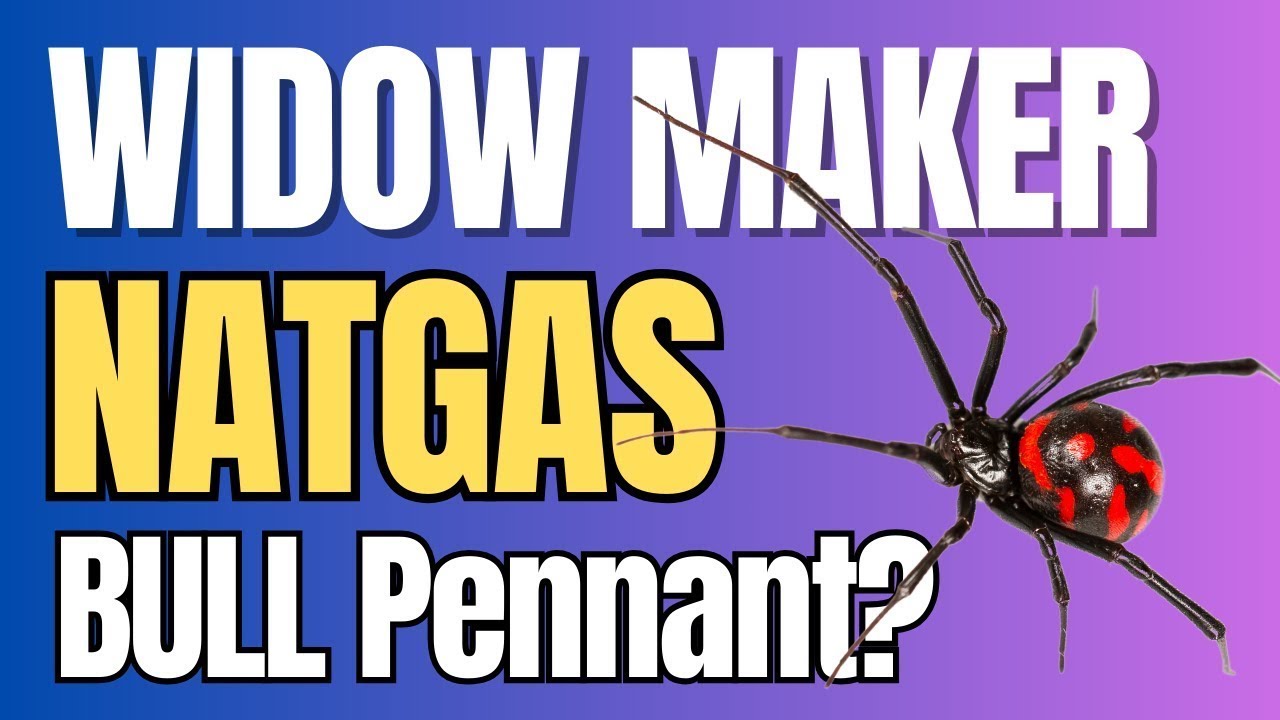 Natural Gas - BULL PENNANT? - YouTube