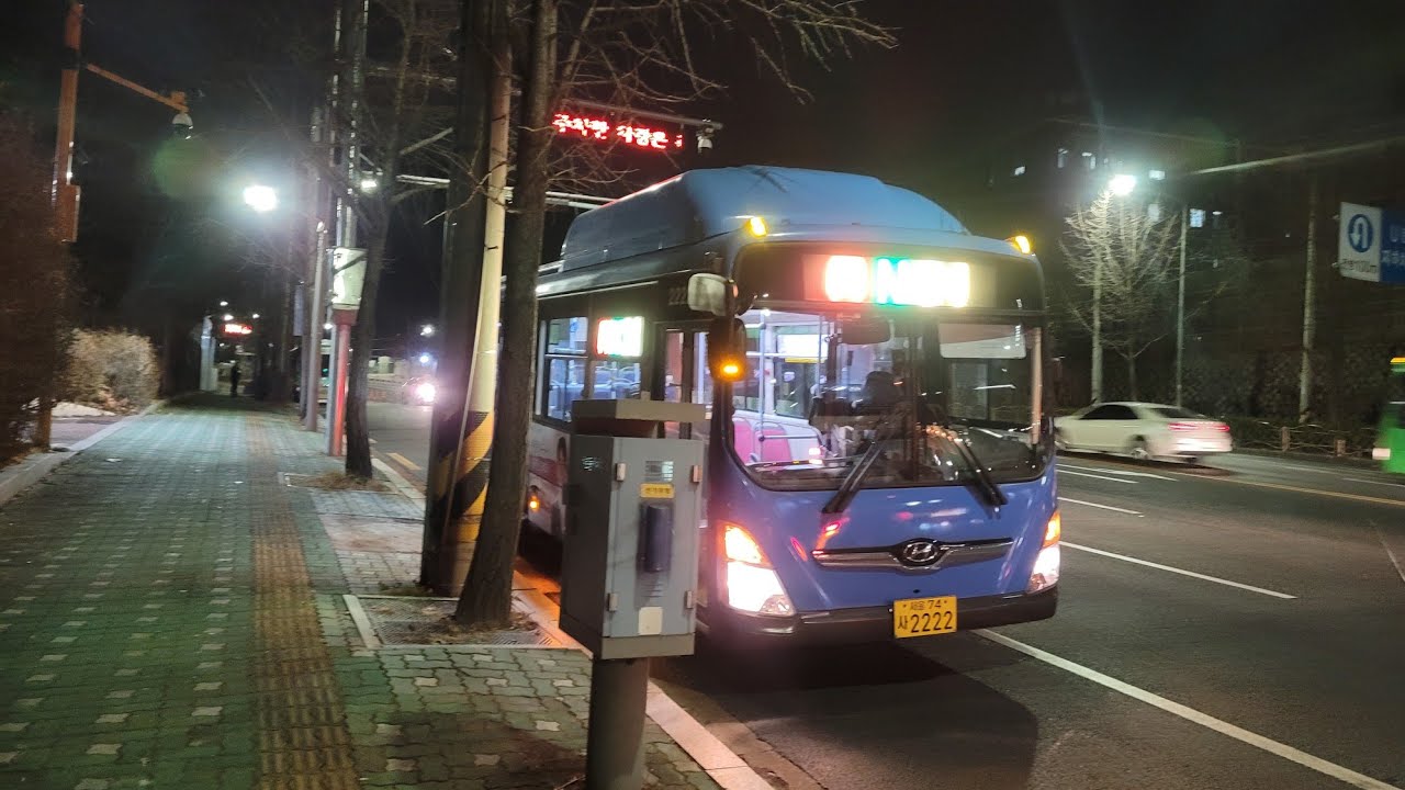 서울 대진여객 심야버스 N31번 둘러보기 - YouTube