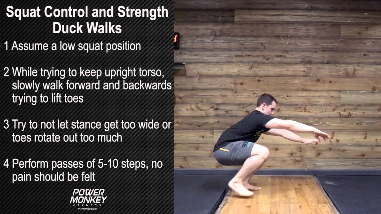 Squat Control and Strength - Duck Walks - YouTube