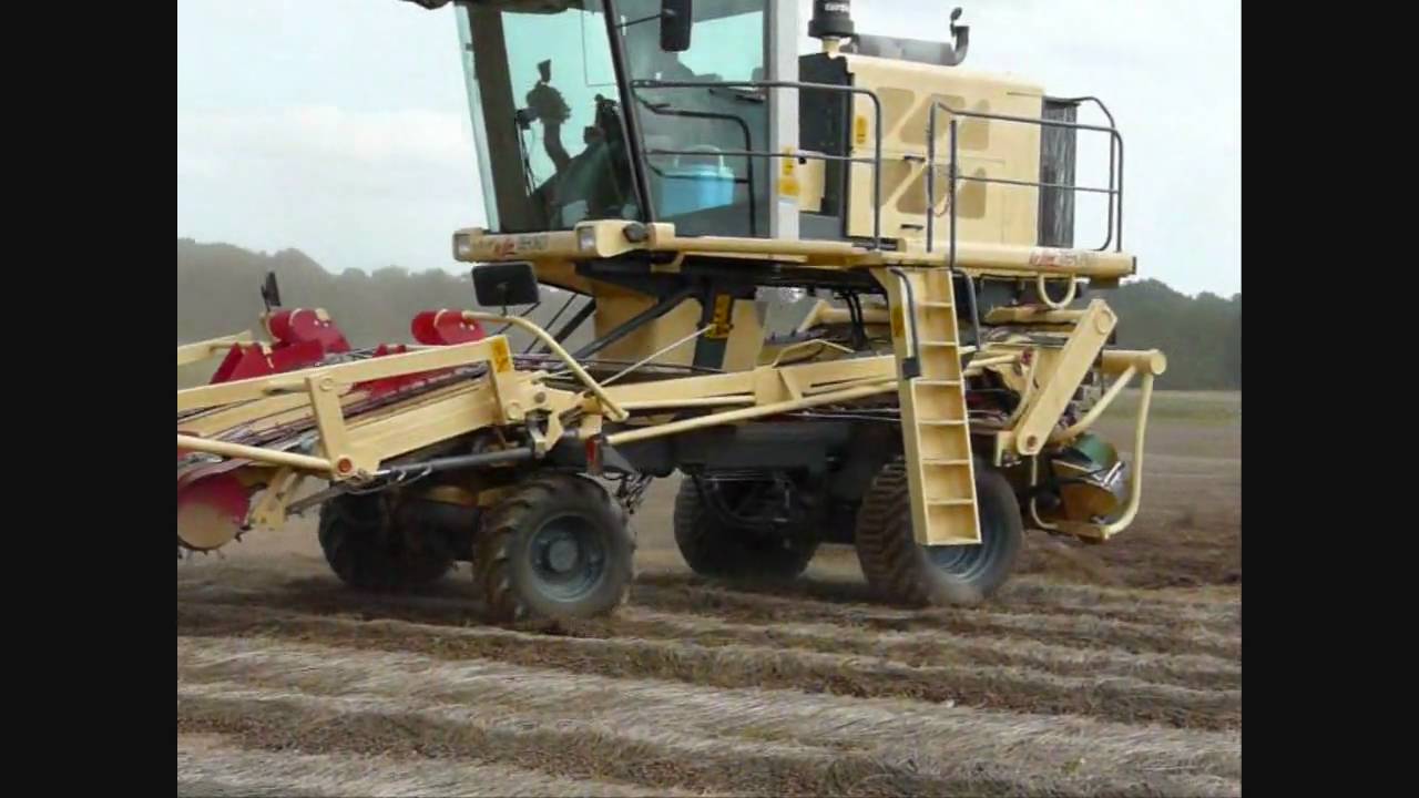 La culture du lin en France avec Dehondt et Depoortere/Culture of linen ...