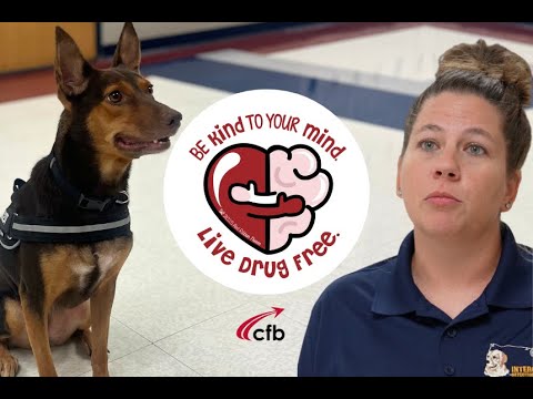 Interquest Detection Canines - Fall 2023 - YouTube