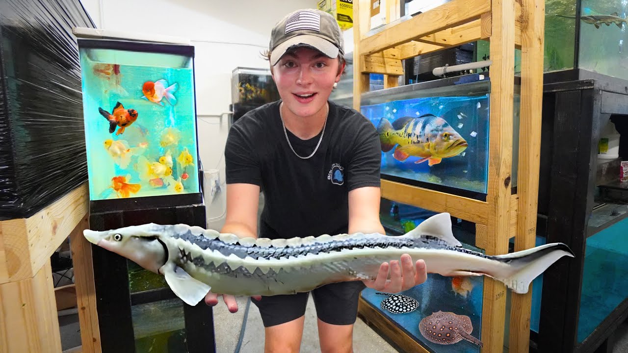 Private Tour of a FRESHWATER MONSTER FISH Facility!! **INSANE** - YouTube