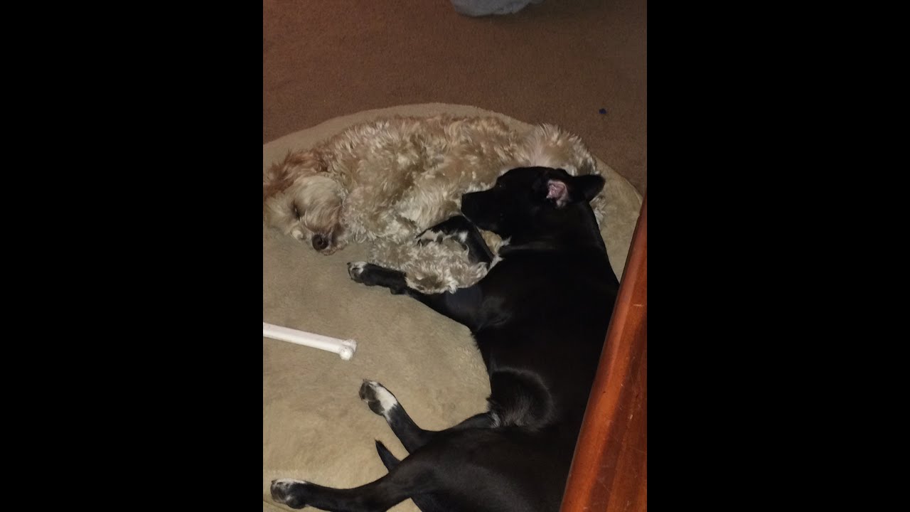 What happened on the Kane Show - YouTube