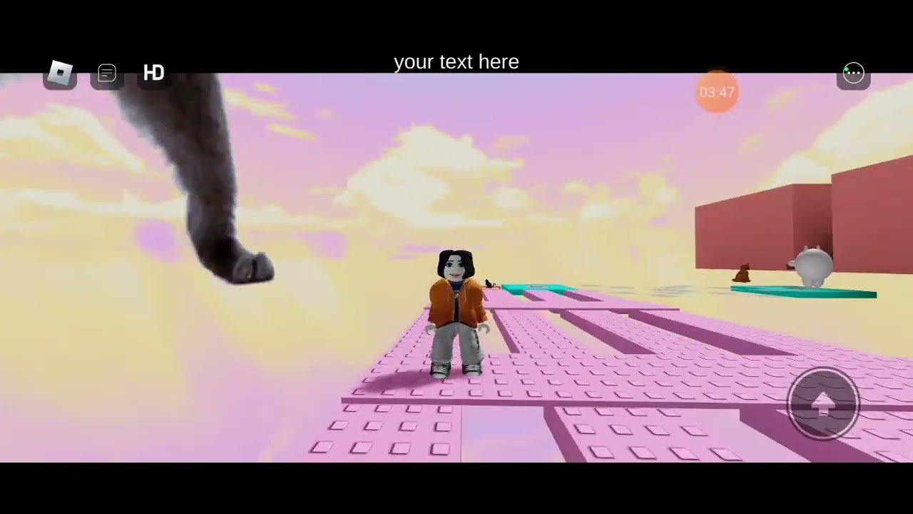 Cat obby |Roblox - YouTube