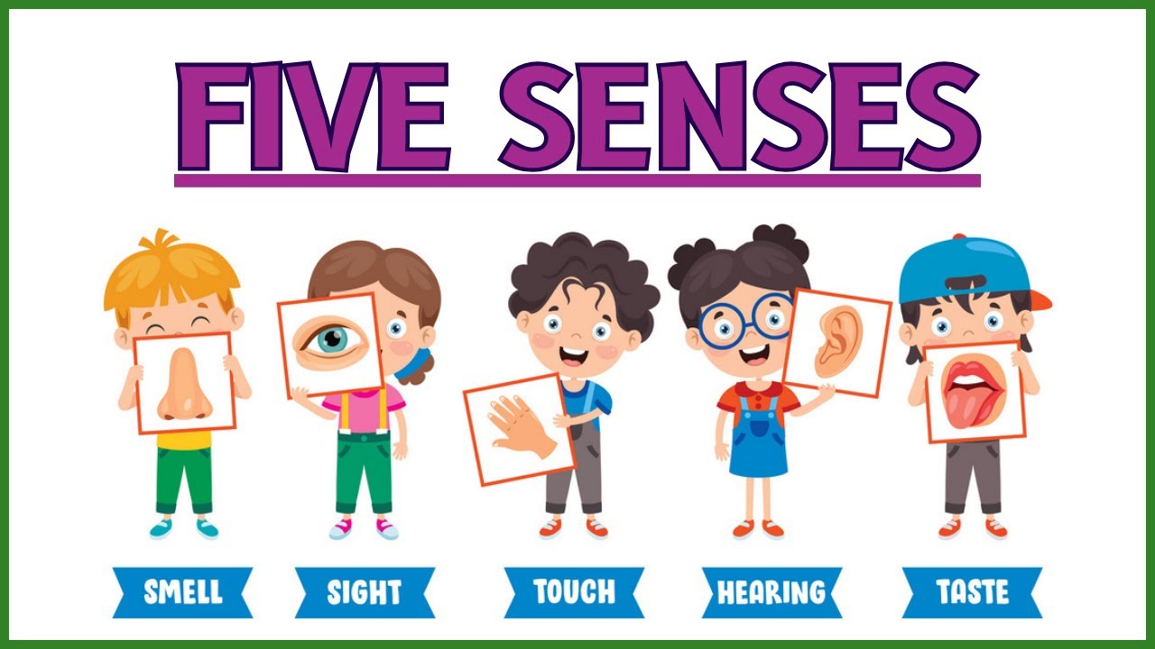 FIVE SENSES FOR KIDS IN ENGLISH | EDUCATIONAL VIDEO FOR PRESCHOOL AND ...