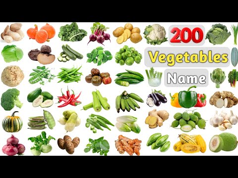 List of Vegetables ll 200 Vegetables Name In English With Pictures ll Learn all Vegetables Name
