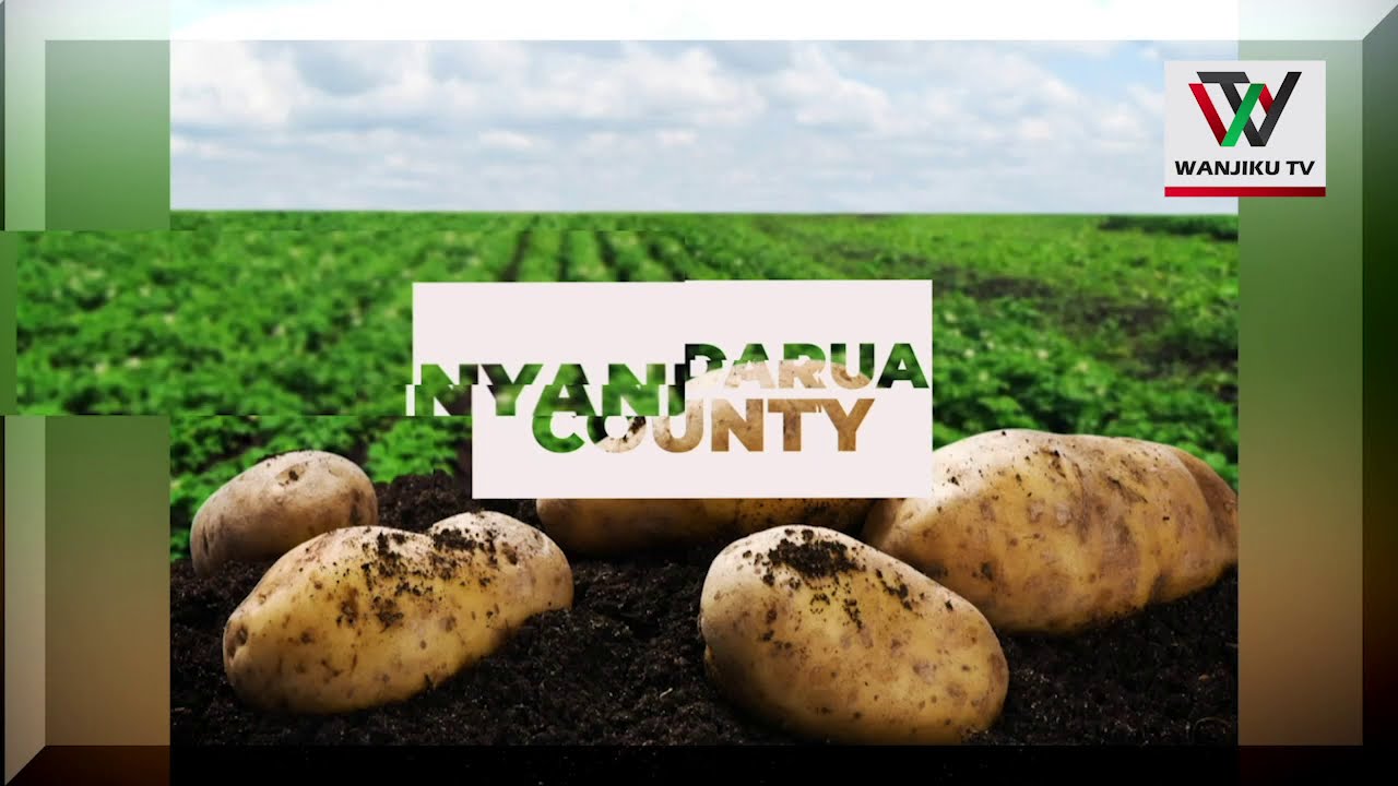 THE POTATO COLD STORAGE AND PROCESSING FACILITY - YouTube