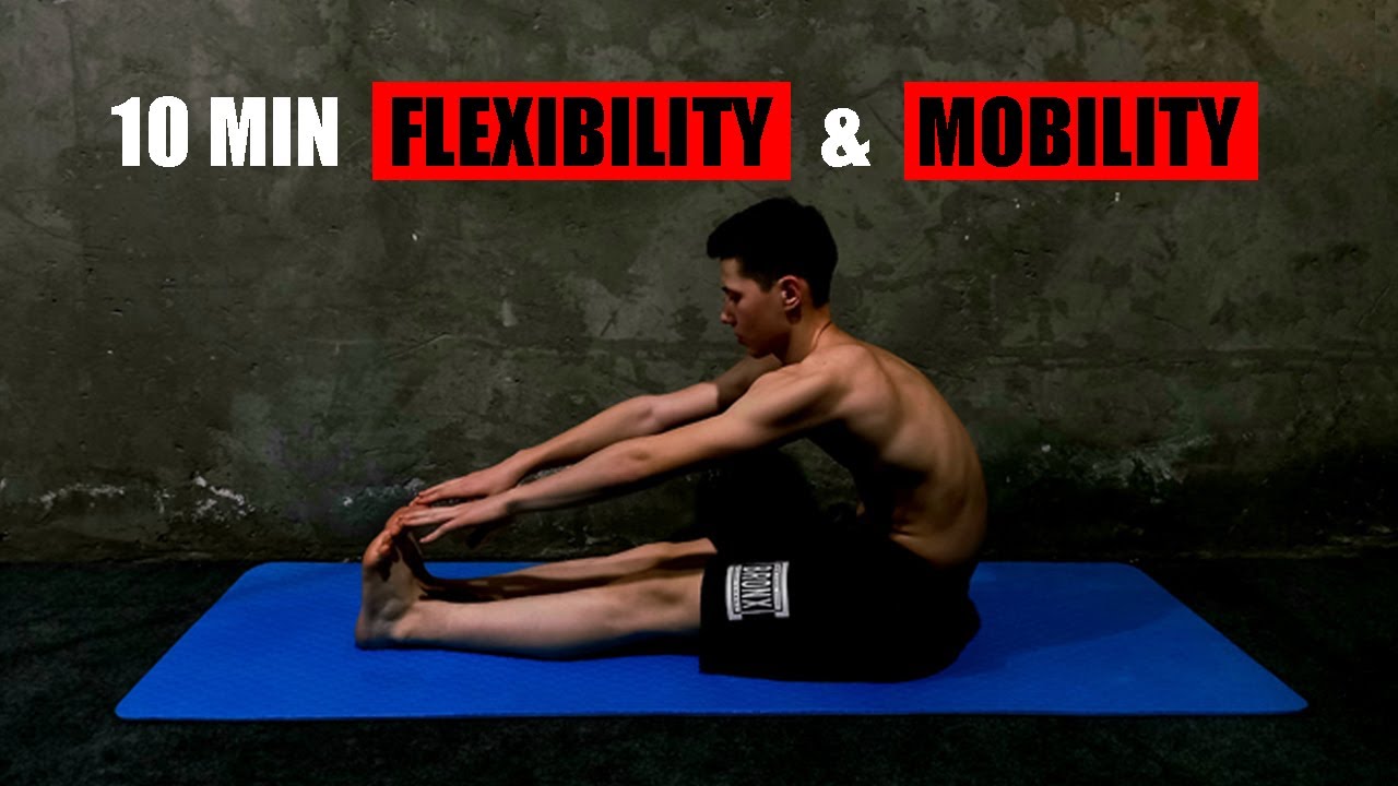 10 Min Full Body Flexibility & Mobility Routine | (FOLLOW ALONG) - YouTube