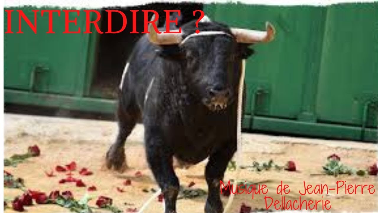 Interdire ? - YouTube