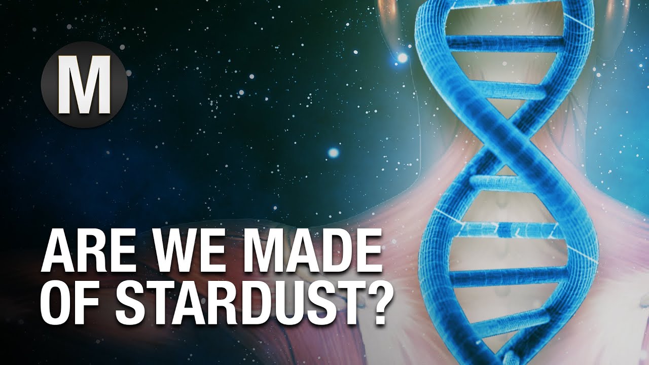 Biophotonics - Your DNA Actually Stores Light | Episode 2 - MATTTER 4K ...