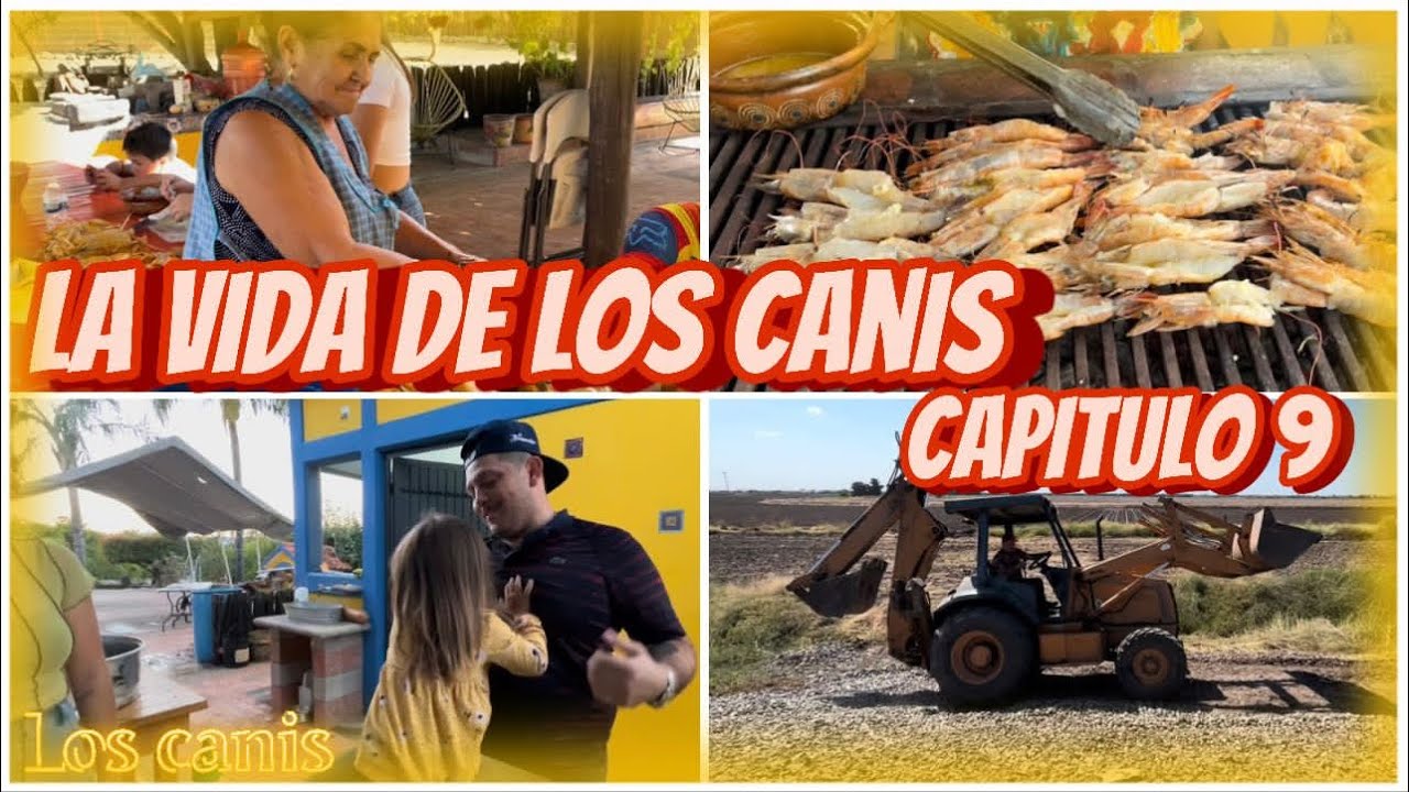 LA VIDA DE LOS (CANIS) capitulo 9 dia de rancho lo mejor - YouTube