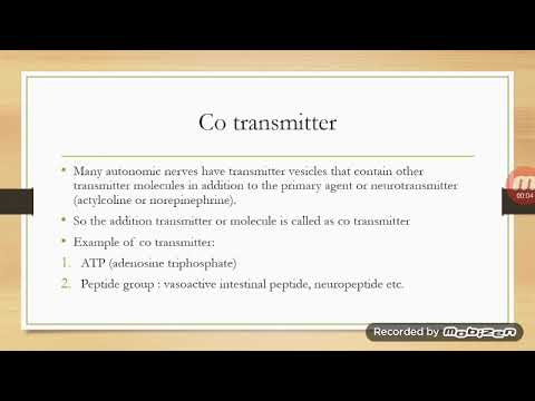 Co transmission OR Co transmitter in hindi, lesson 2 pharmacology 4 sem ...