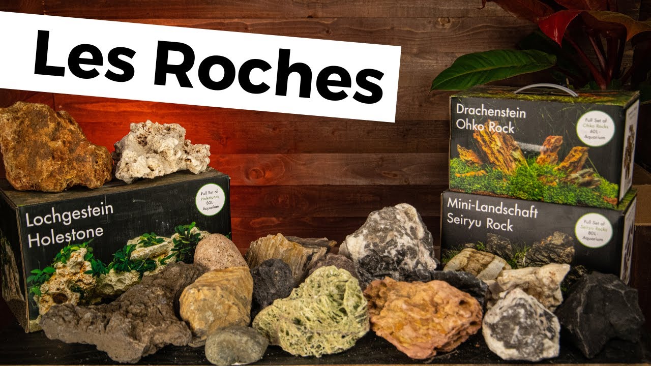 LES DIFFÉRENTES ROCHES POUR SON AQUARIUM | AQUABOTA - YouTube