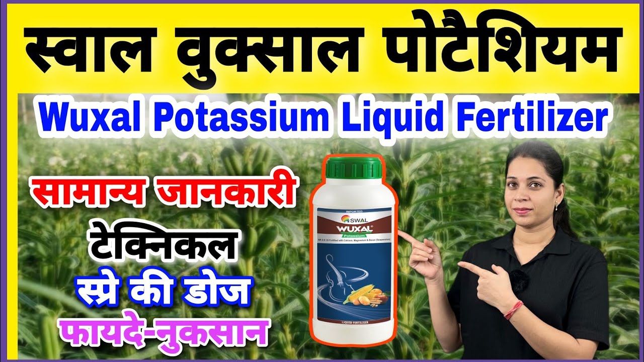 Swal Wuxal Potassium Uses in Hindi || Swal wuxal macromix || NPK ...
