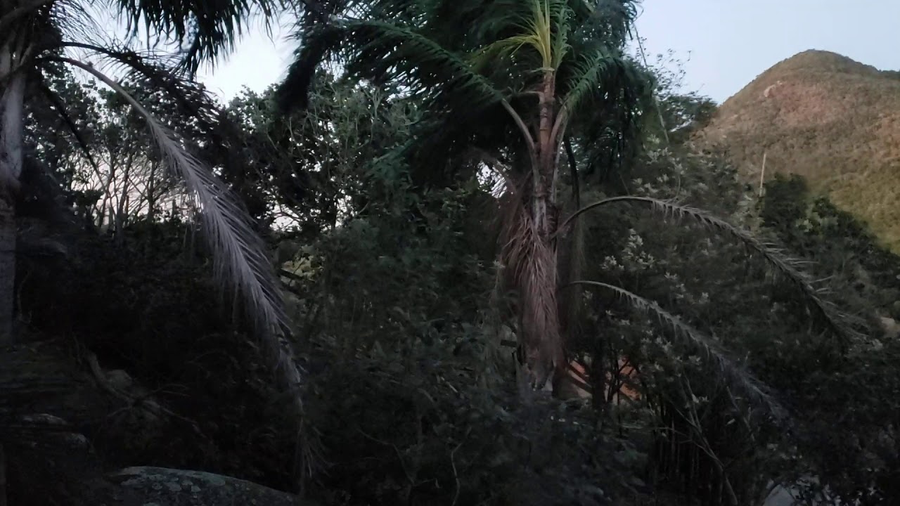 After Cyclone sa Brasil - YouTube