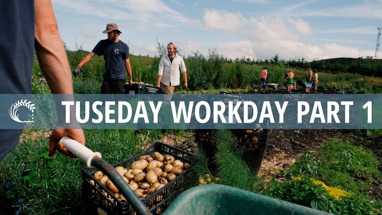 TUESDAY WORKDAY PART 1 - YouTube