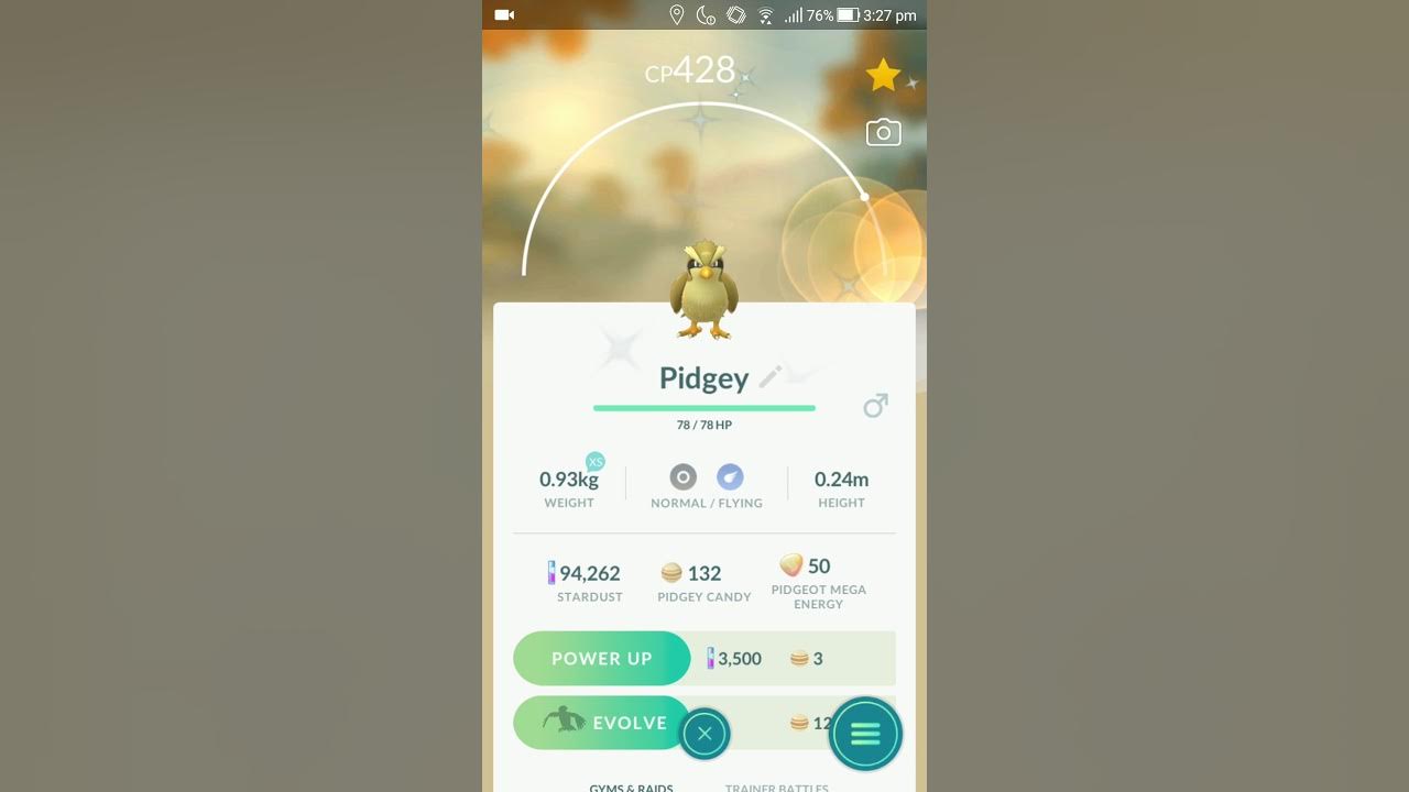 Shiny Pidgey Pokemon Go Evolution - YouTube