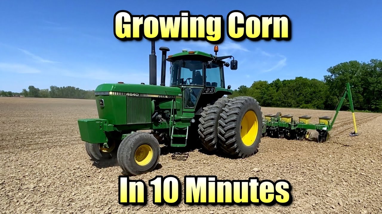 Growing A Corn Crop In 10 Minutes! - YouTube