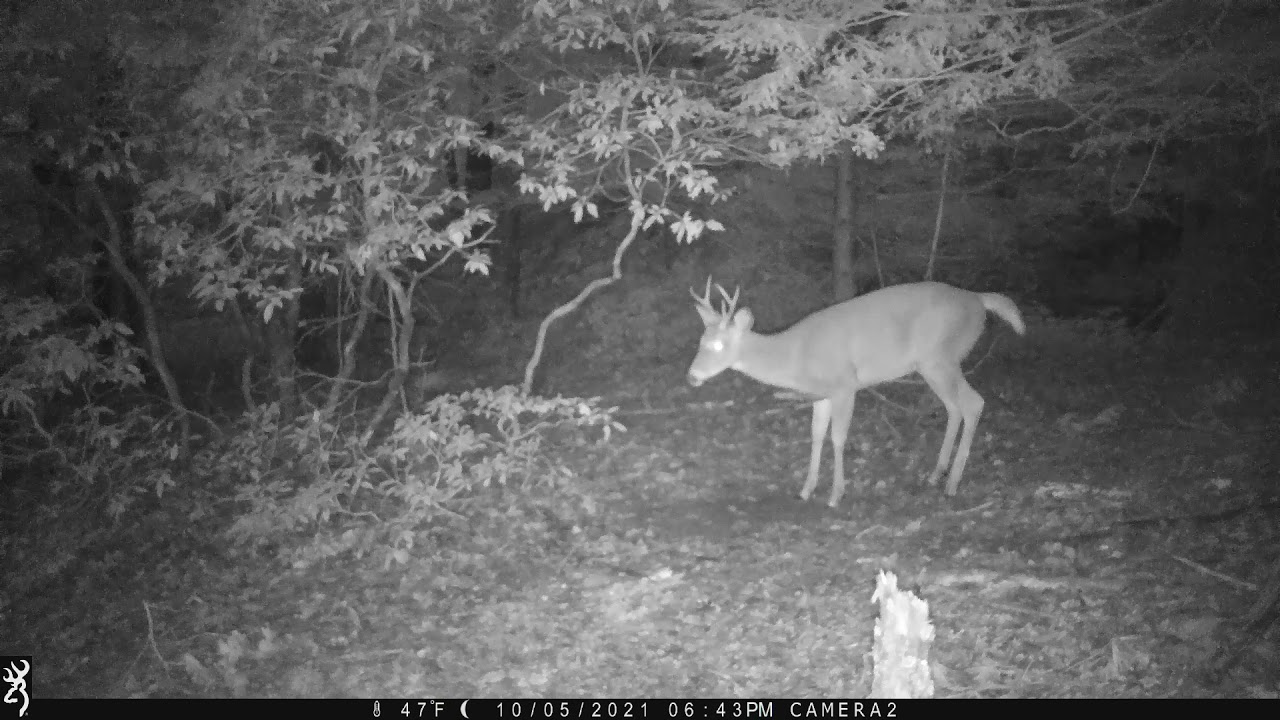 2021 C power scrape 6 pt hitting scrape licking 2 - YouTube